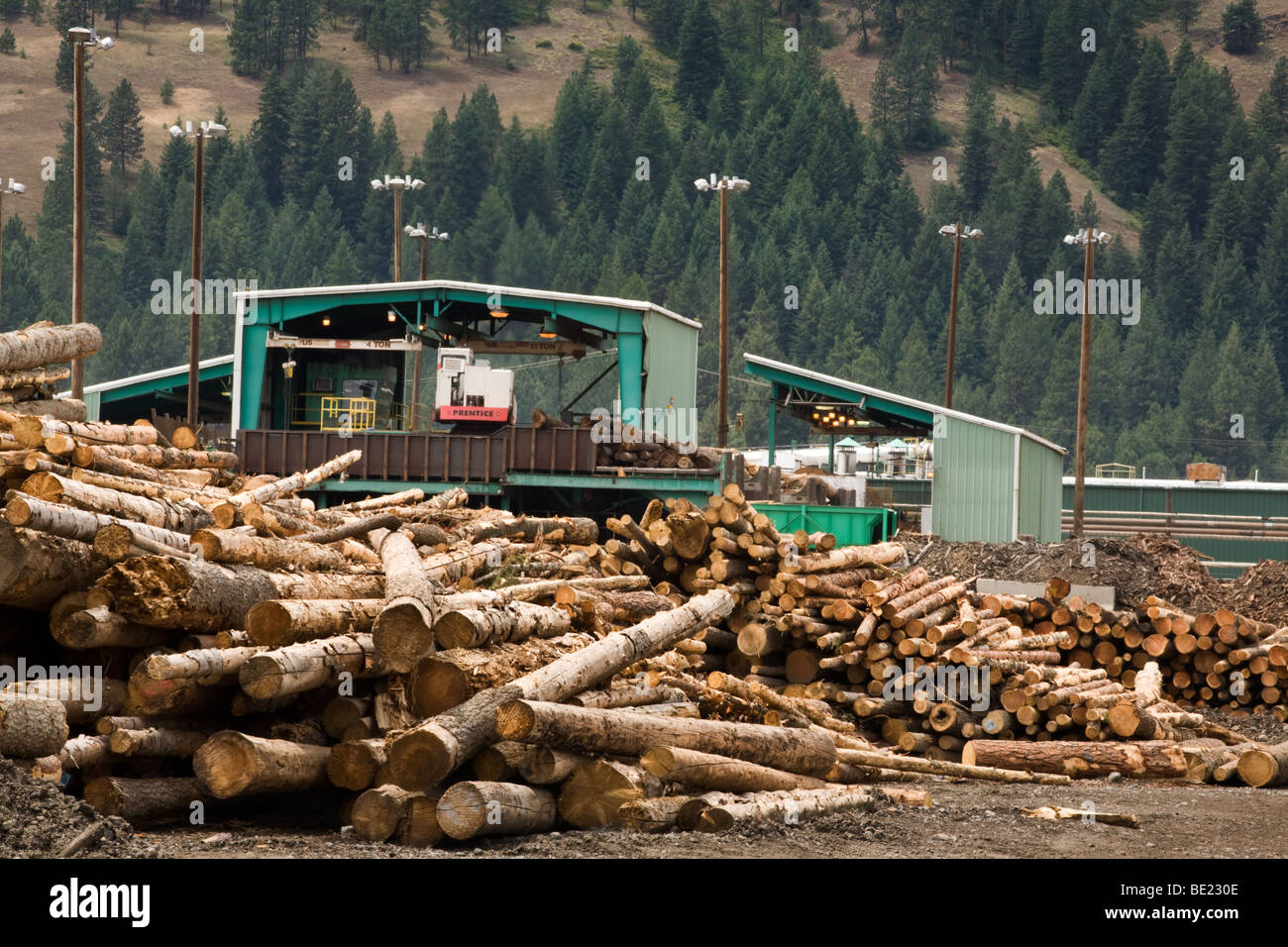 Lumber for export hi-res stock photography and images - Alamy