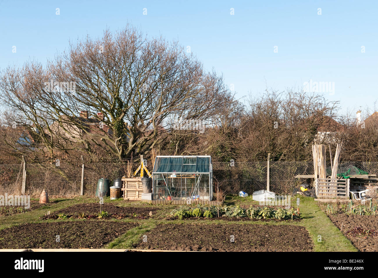 Allotment green hi-res stock photography and images - Alamy