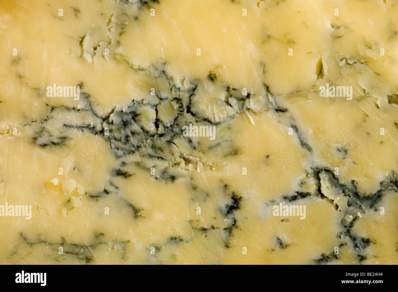 close up detail of the viens in blue cheese Stock Photo - Alamy