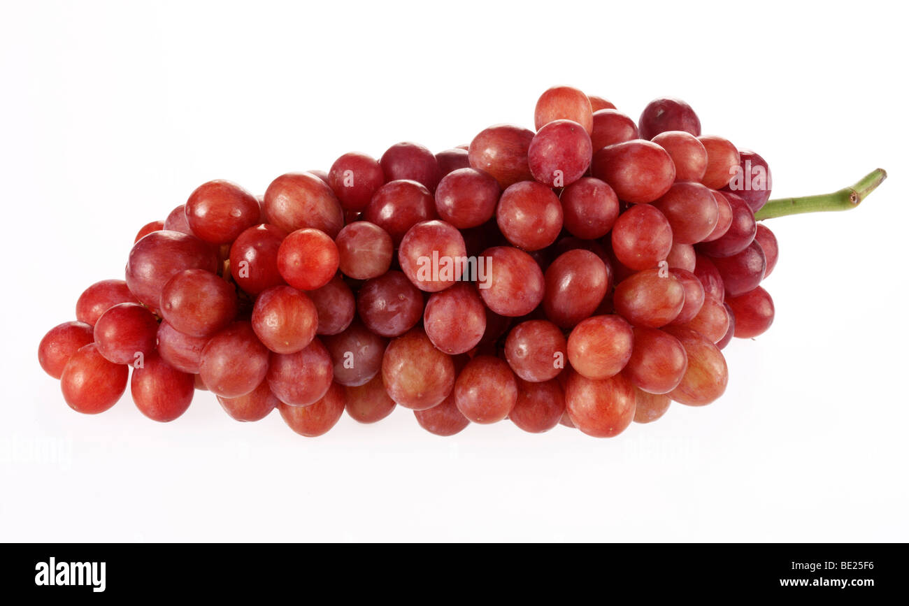 BUNCH OF RED GRAPES Stock Photo - Alamy