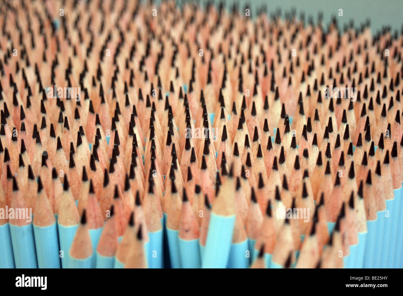 Large number of pale blue pencils with sharpened points. Canopy of ...