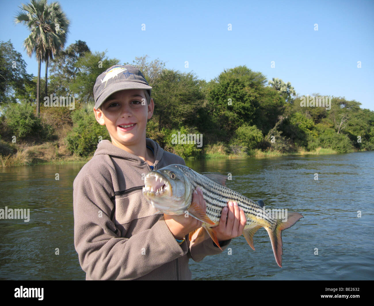 Tigerfish hi-res stock photography and images - Alamy