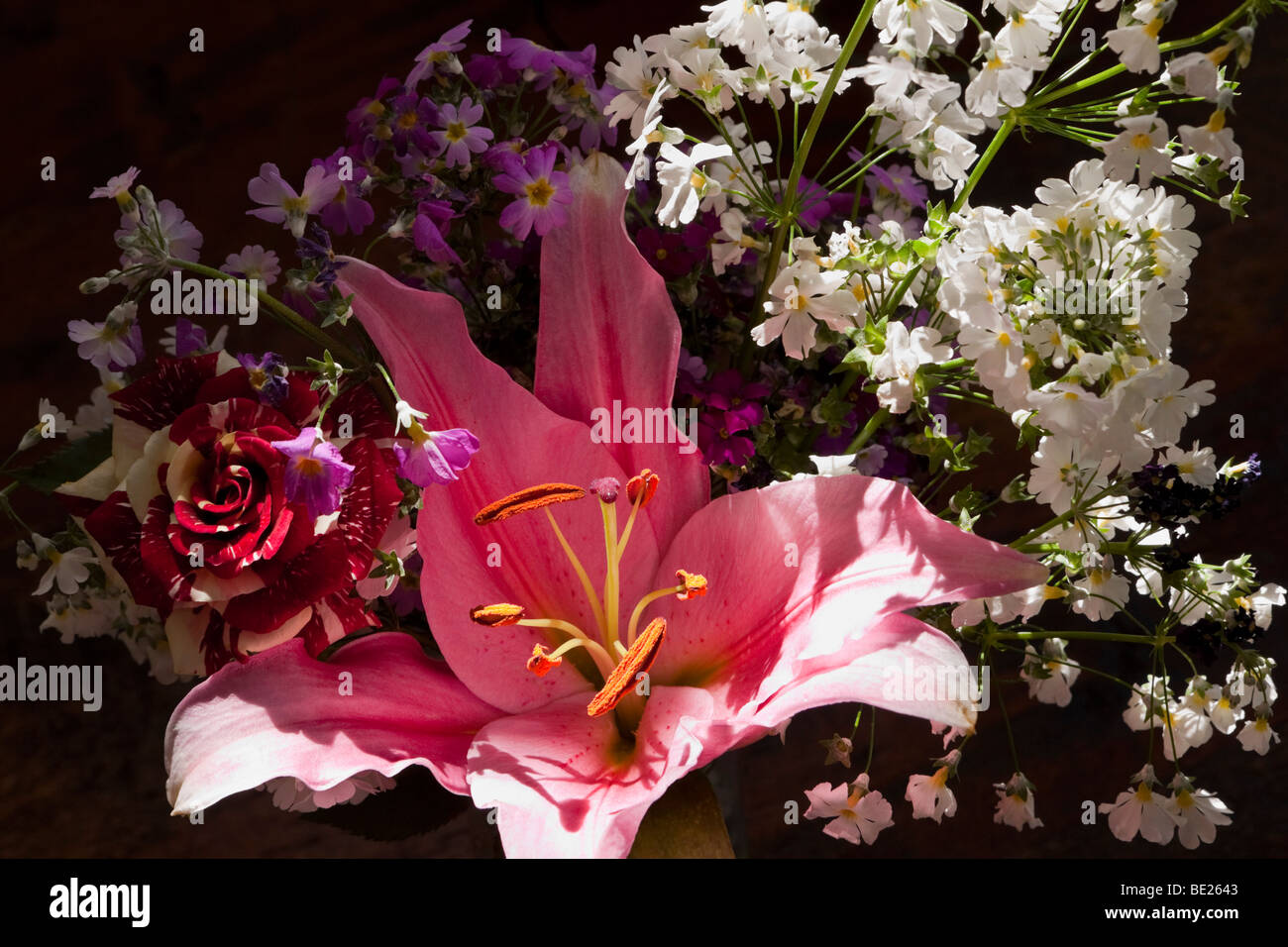 Mixed flower arrangement Stock Photo - Alamy