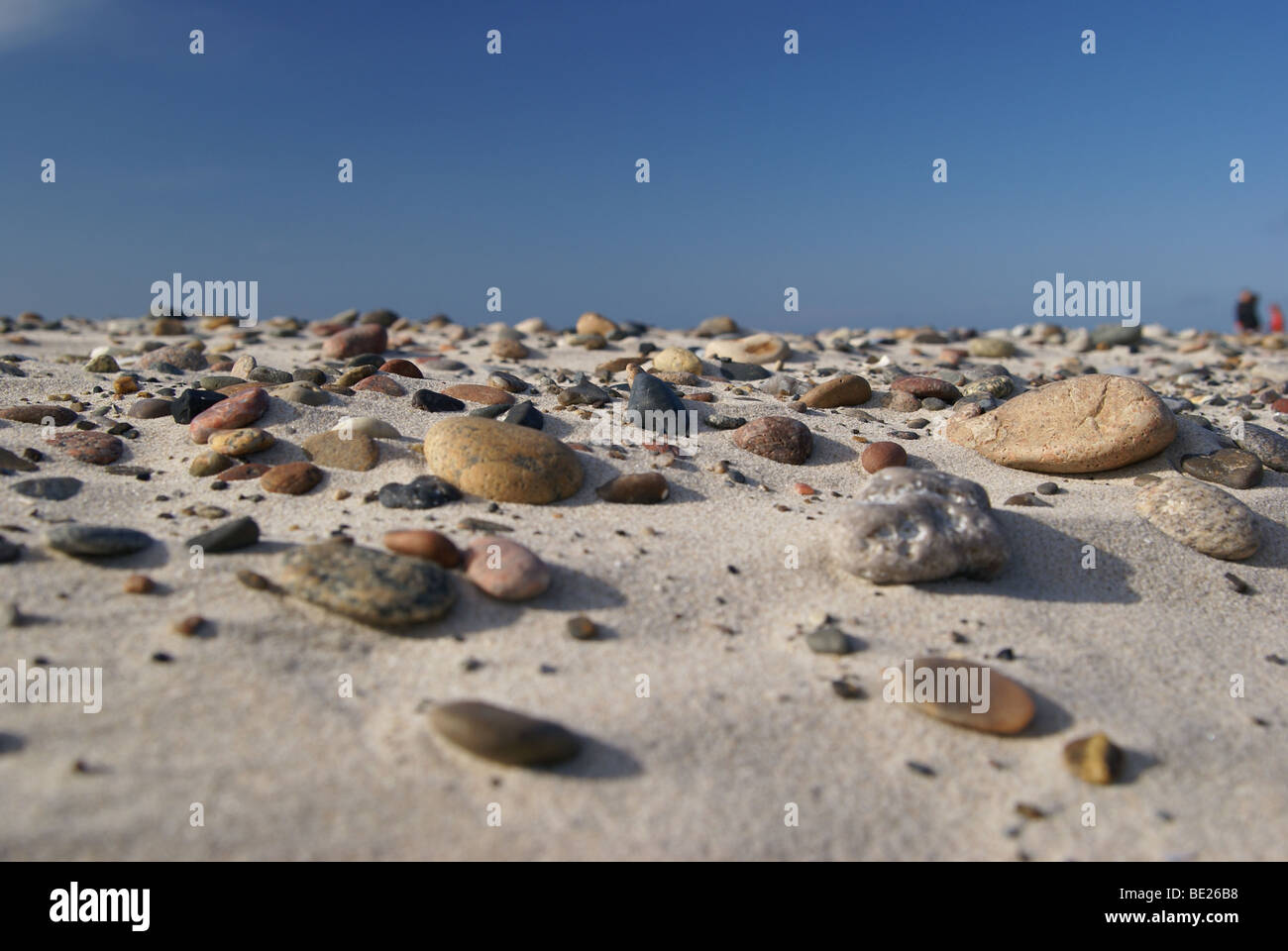 Stones in the sand Stock Photo - Alamy