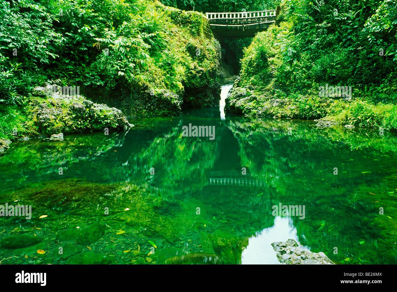 Ching's Pond (a favorite swimming hole) along the road to Hana, Maui ...