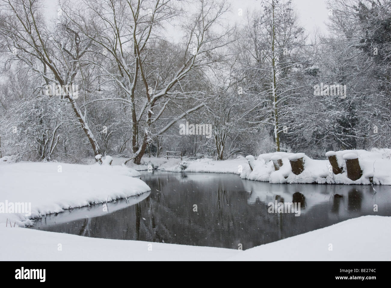 snow and trees surround cold pond with reflections Stock Photo - Alamy