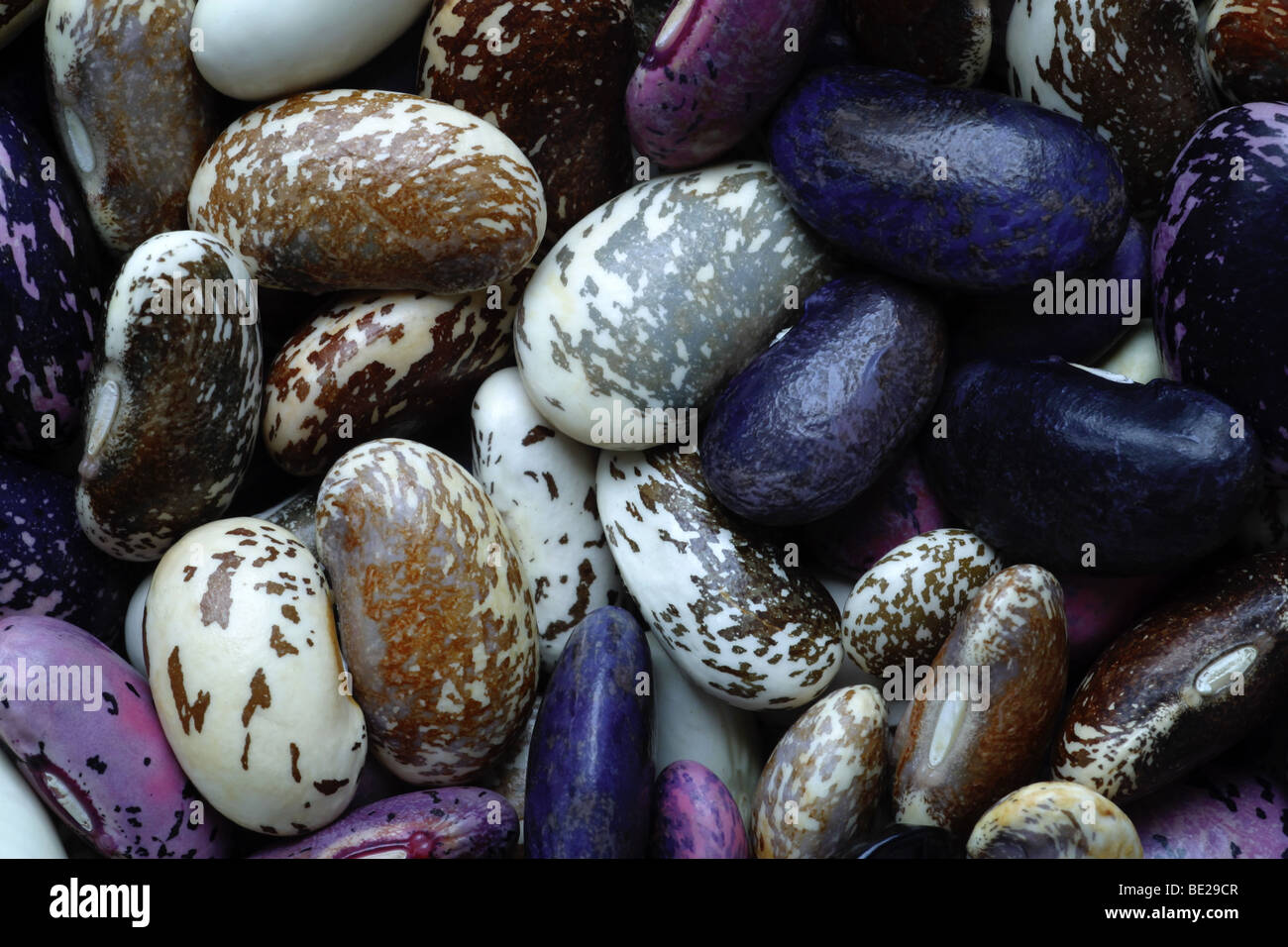 Various types of runner beans Stock Photo - Alamy