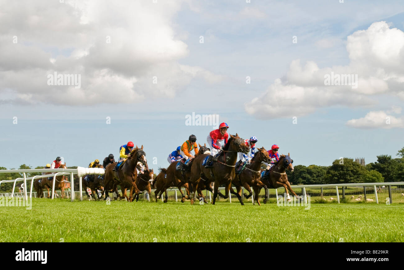 Beverley racecourse hi-res stock photography and images - Alamy