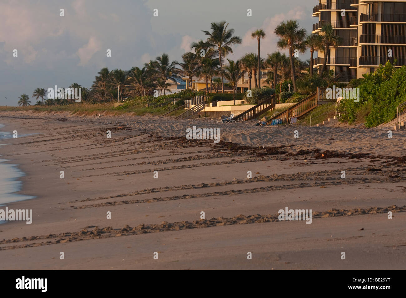 A typical summer morning along a busy sea turtle nesting beach Stock ...