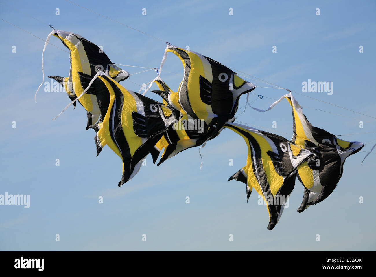 Giant kites at the 2009 Bristol Kite Festival Stock Photo - Alamy