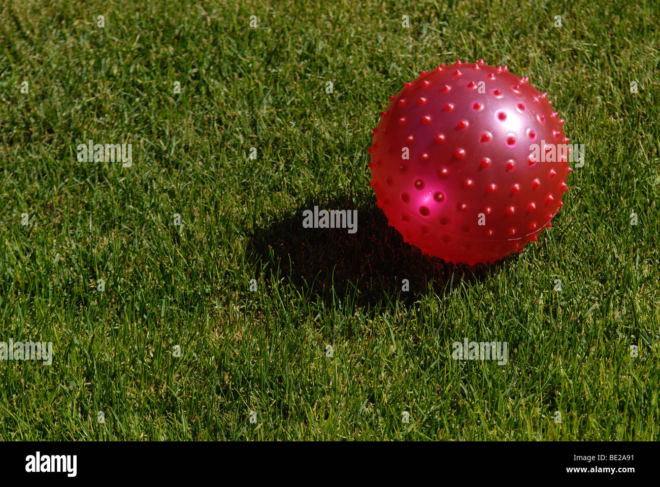 red ball on the grass Stock Photo - Alamy