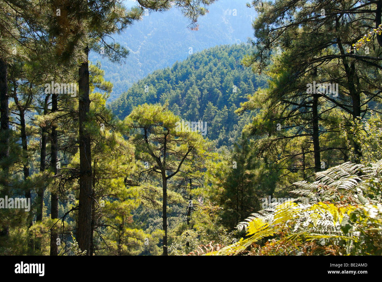 Potamia greece hi-res stock photography and images - Alamy