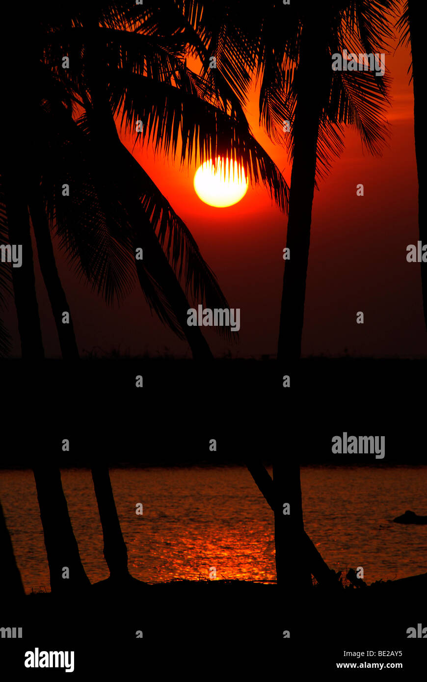 sunset from kerala ; india Stock Photo - Alamy