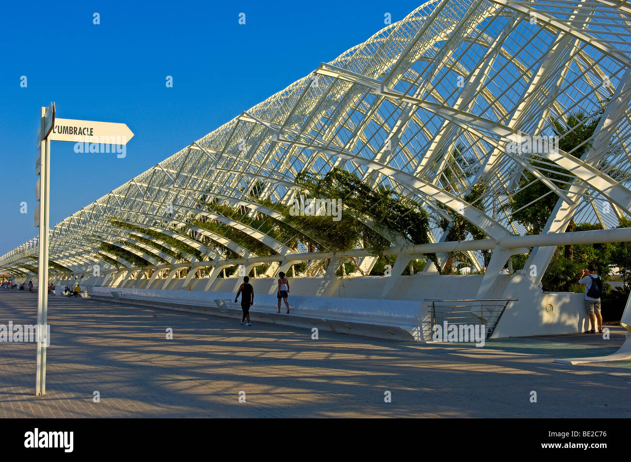 Umbracle umbracle l hi-res stock photography and images - Alamy