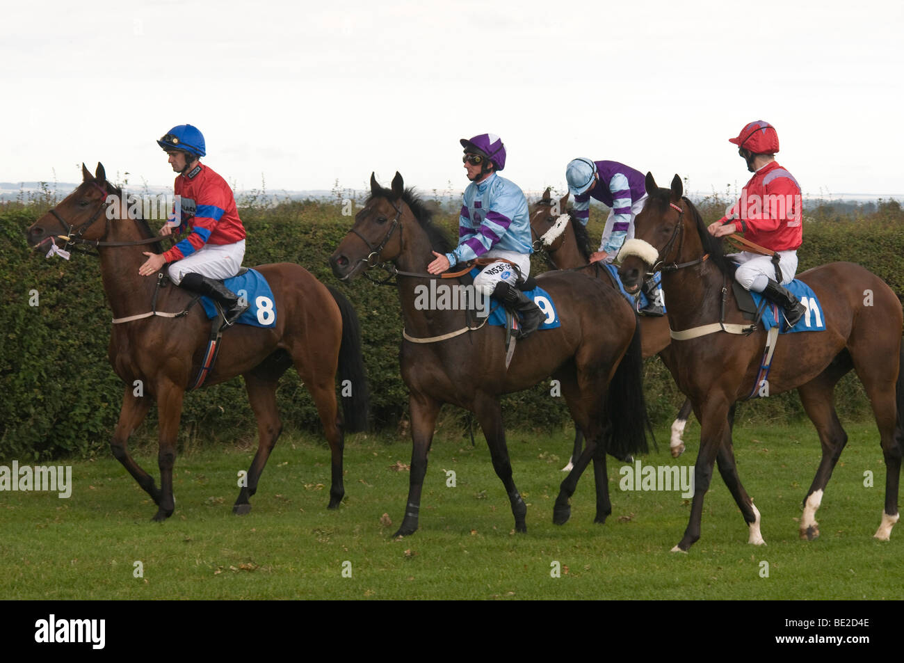 Horses and jockeys at the start, Beverley races, East Yorkshire Stock ...