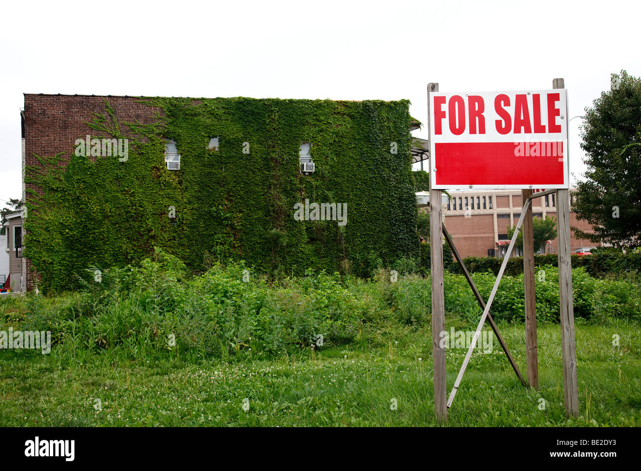 For sale sign at an overgrown lot with a building covered in vine in ...