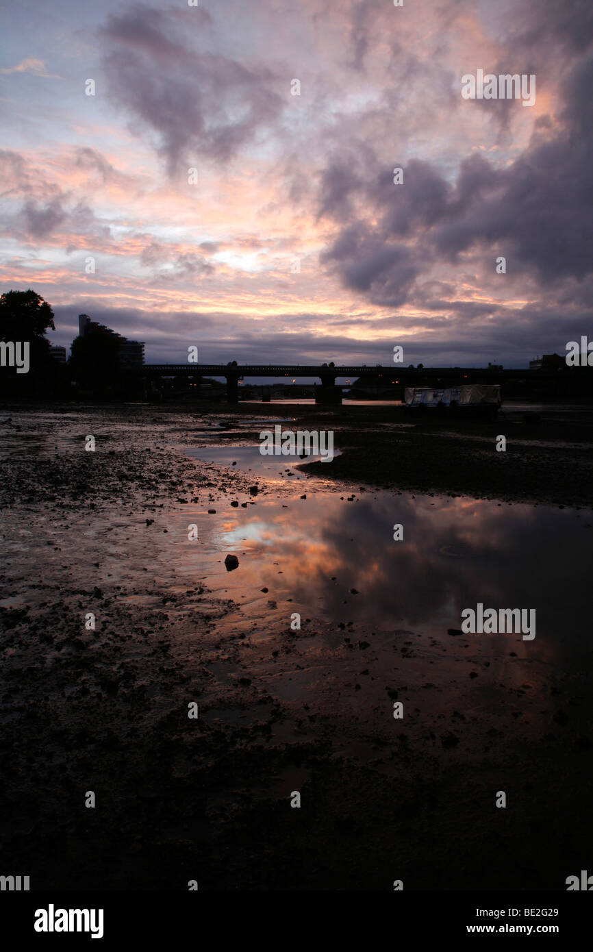 Tide pools at low tide on the River Thames foreshore at Putney, London ...