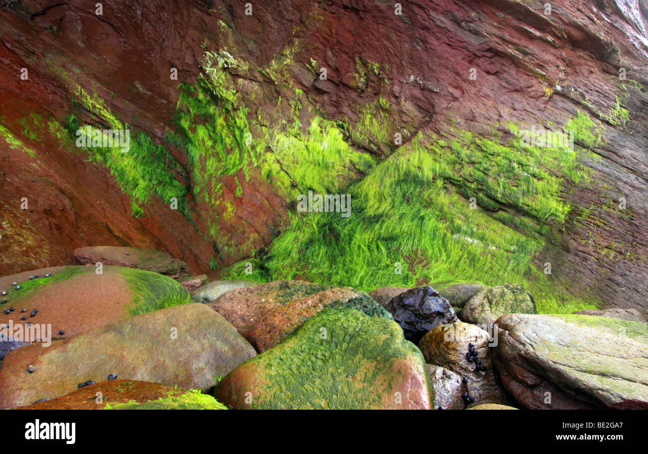Beach rock formation Stock Photo - Alamy