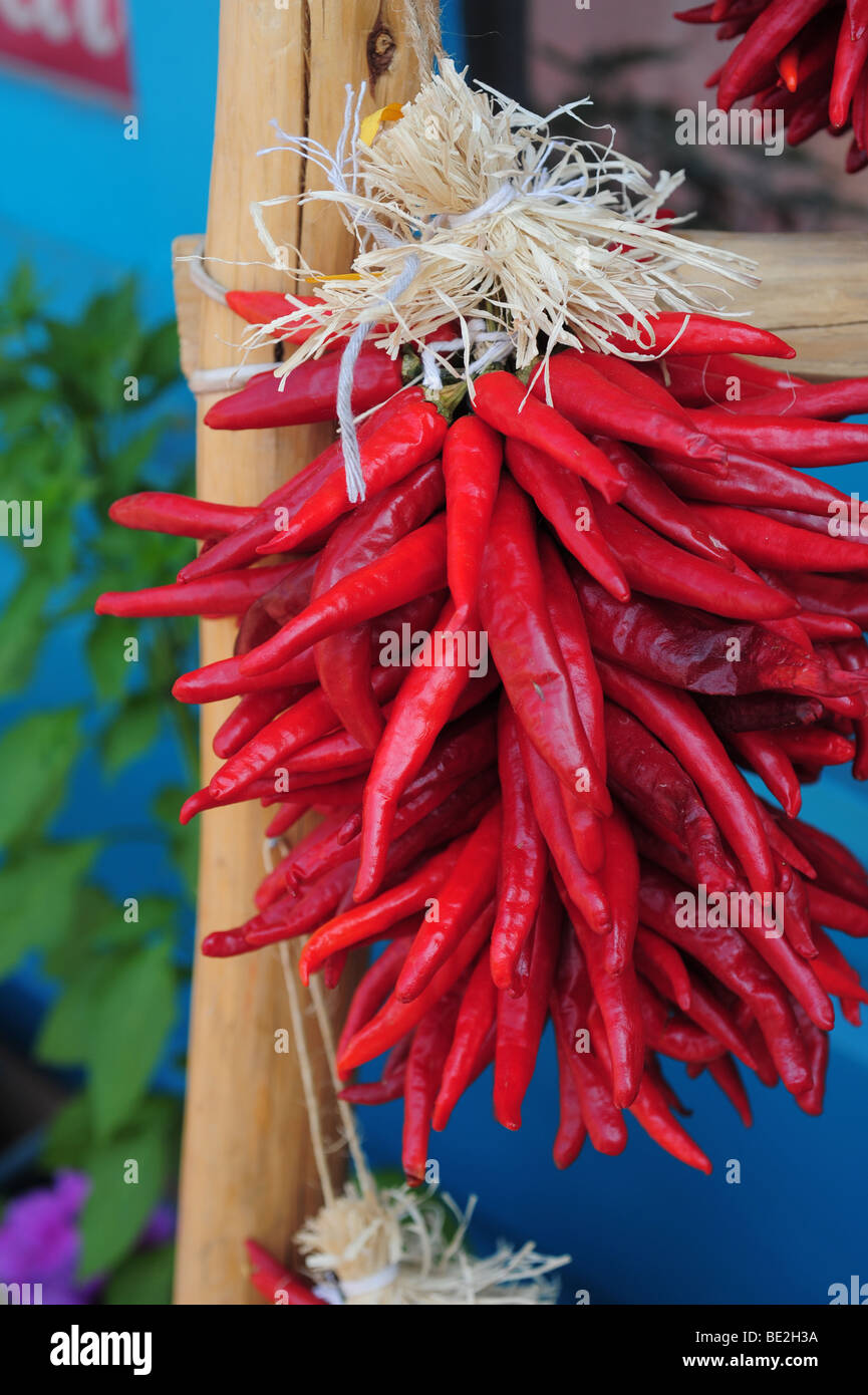 Usa old town albuquerque new hi-res stock photography and images - Alamy