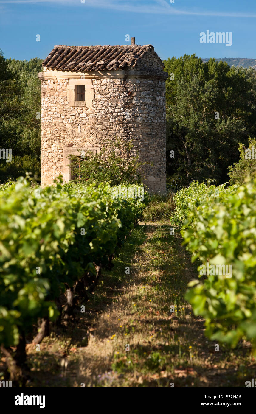 Vineyard with tower hi-res stock photography and images - Alamy