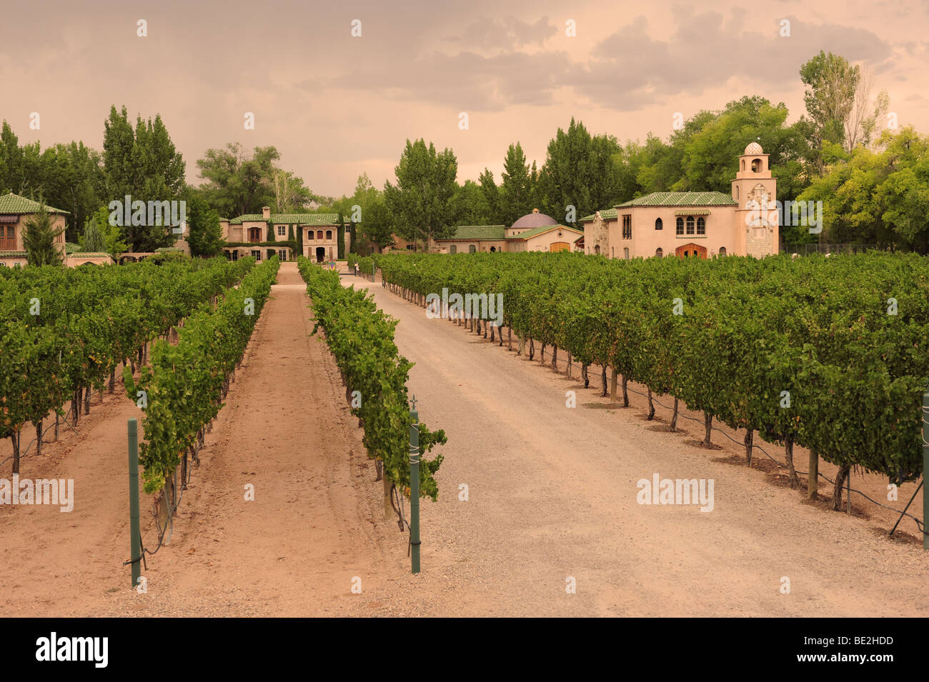 USA Albuquerque, New Mexico- Casa Rondena Winery-vineyards Stock Photo ...