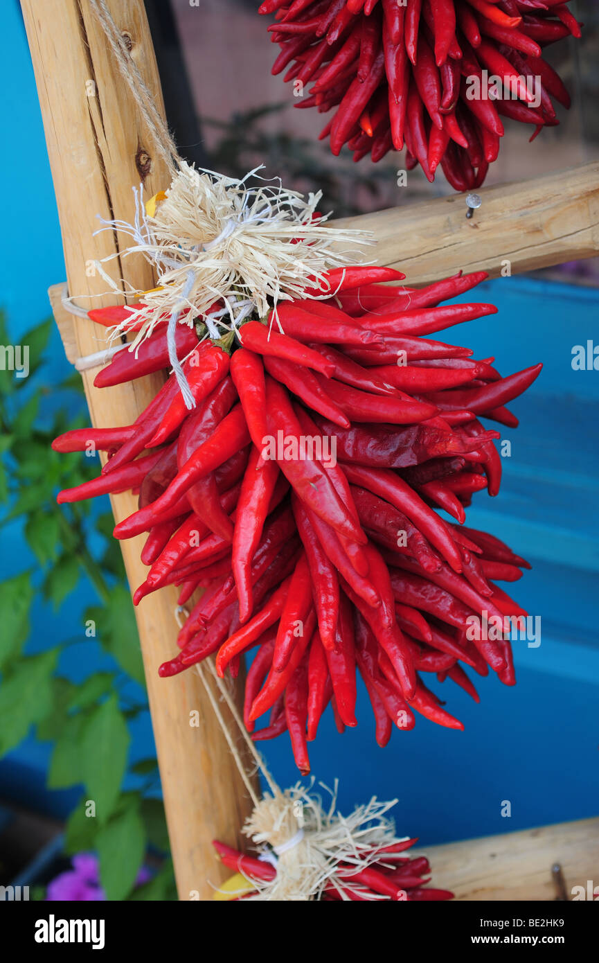 Usa old town albuquerque new hi-res stock photography and images - Alamy