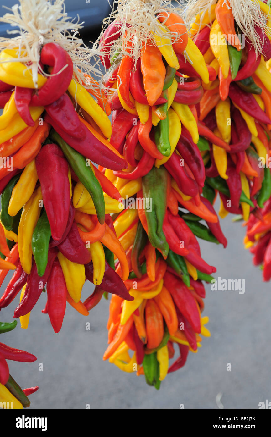 Chiles drying hi-res stock photography and images - Alamy