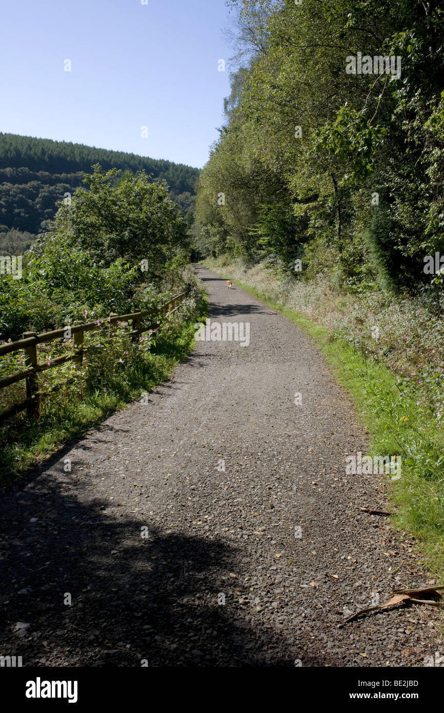 Afan forest hi-res stock photography and images - Alamy
