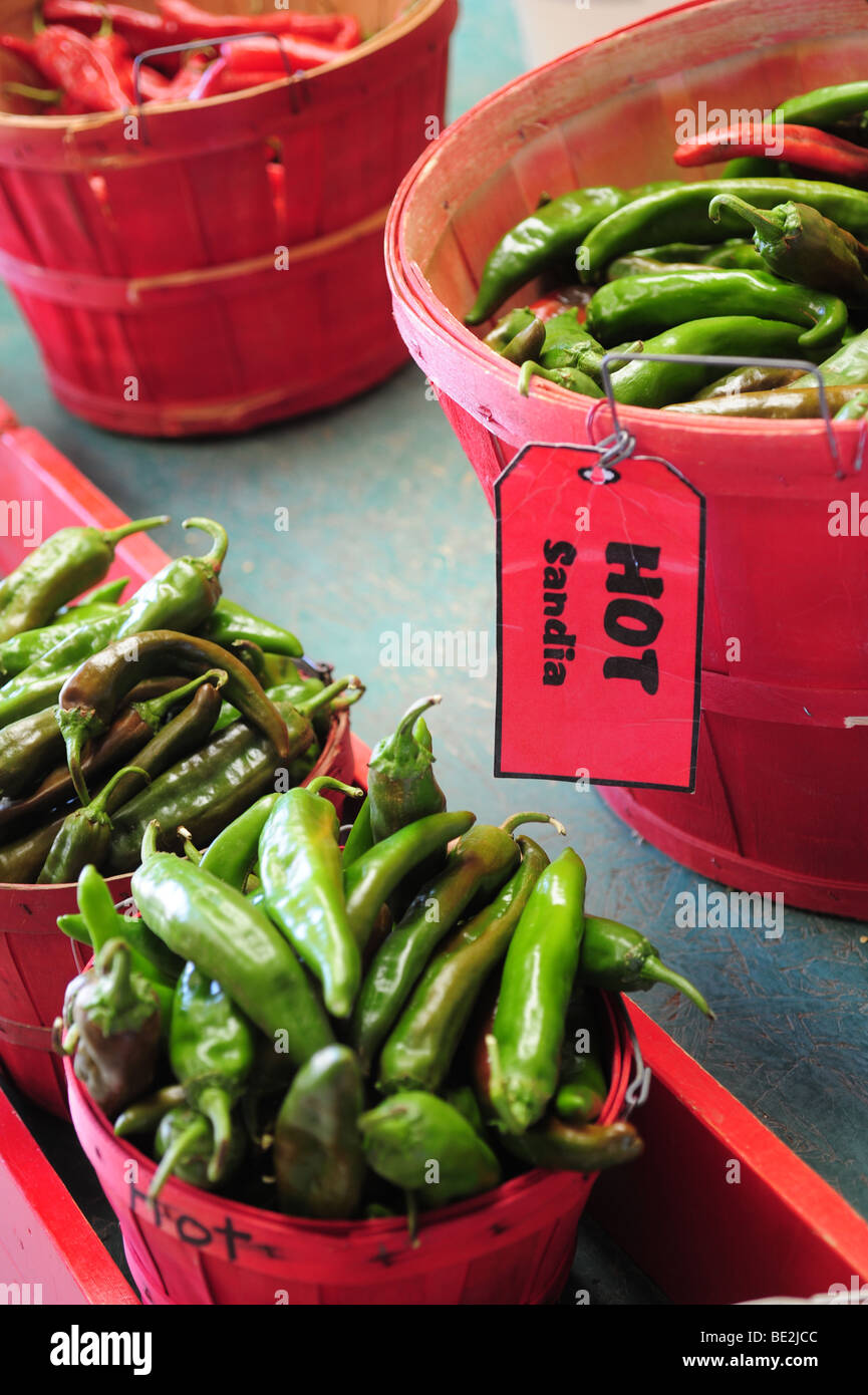 Chili farming hi-res stock photography and images - Alamy