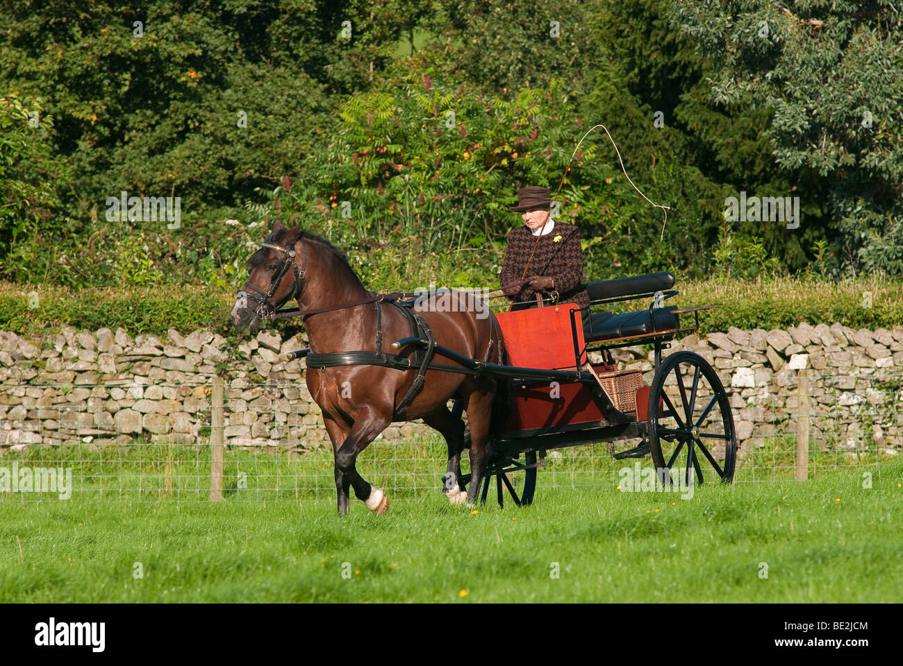 Horse carriage driver woman hi-res stock photography and images - Alamy