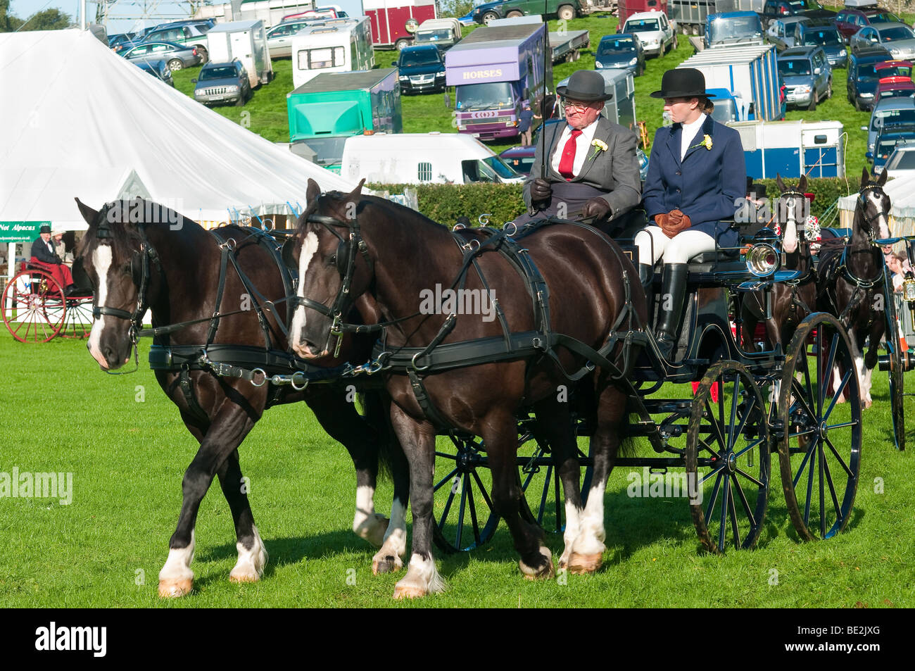 Horse and carriage driving at Westmorland County Agricultural show ...