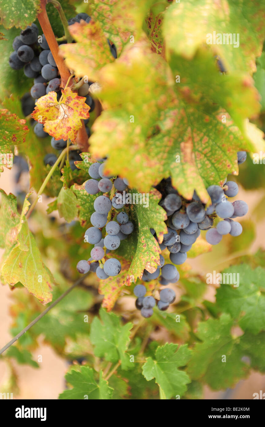 Albuquerque autumn fall hi-res stock photography and images - Alamy