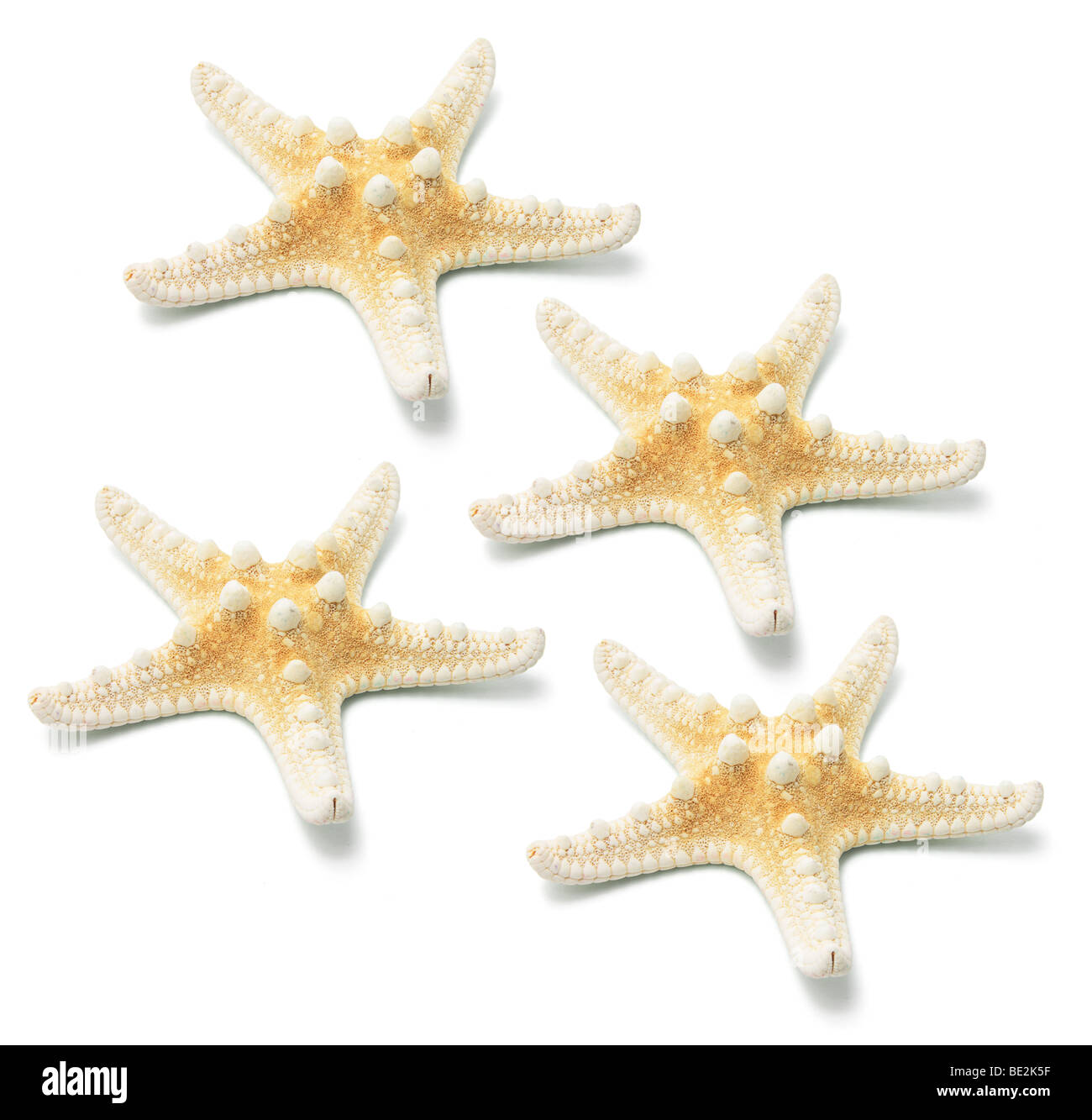 Star Fish Ornaments Stock Photo - Alamy