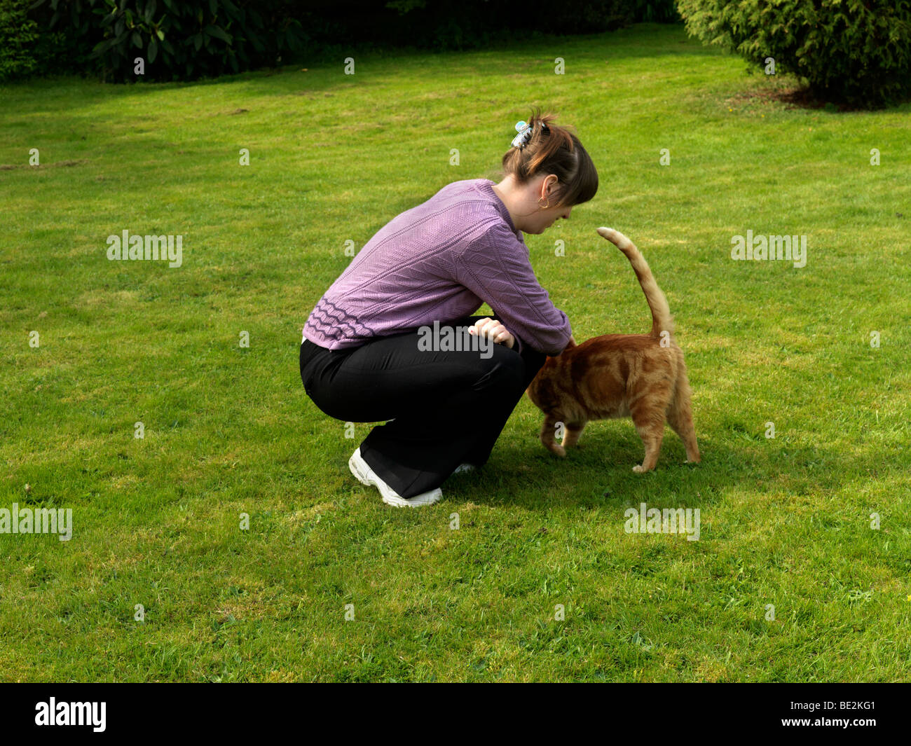 Cat air hi-res stock photography and images - Alamy