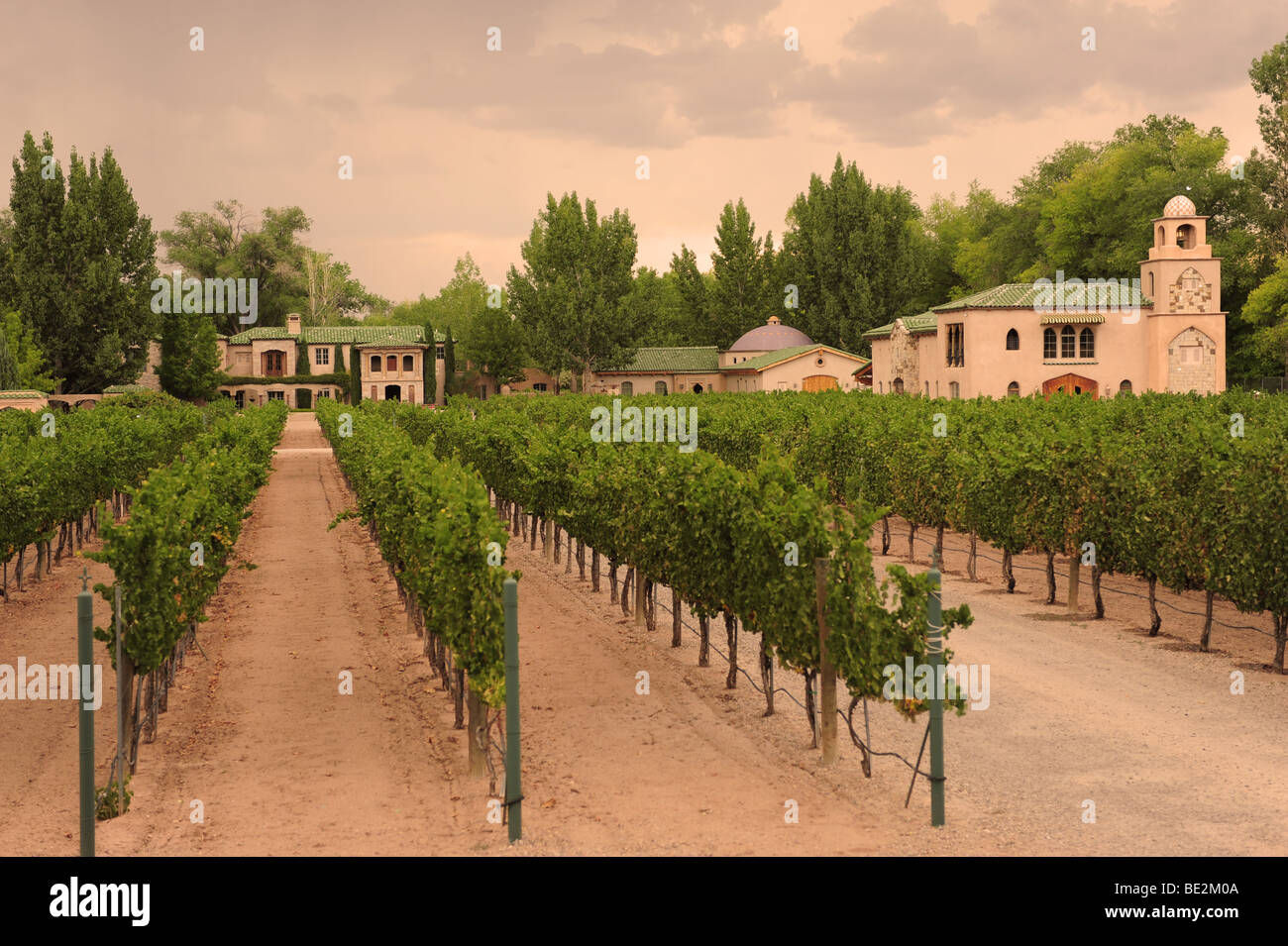 USA Albuquerque, New Mexico- Casa Rondena Winery-vineyards Stock Photo ...
