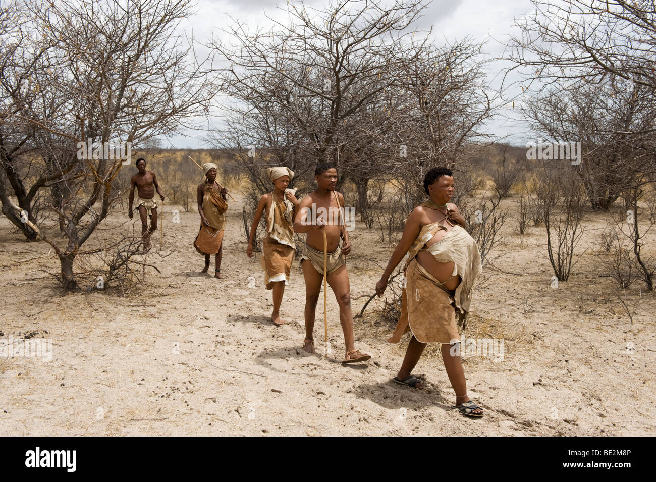 Naro bushman (San) walking, Central Kalahari, Botswana Stock Photo - Alamy
