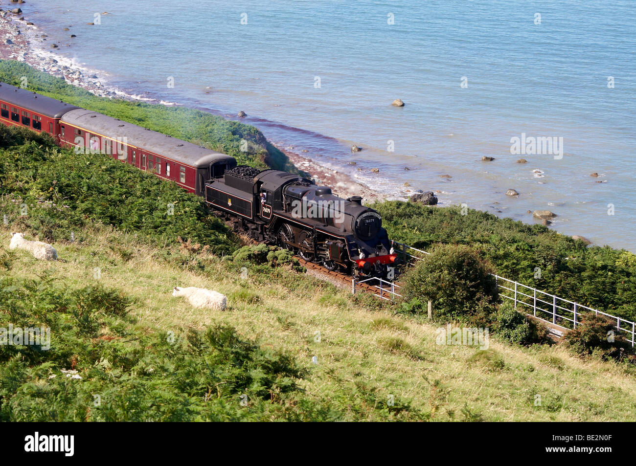 Cambrian Coast Express steam train approaching Friog near Fairbourne in ...