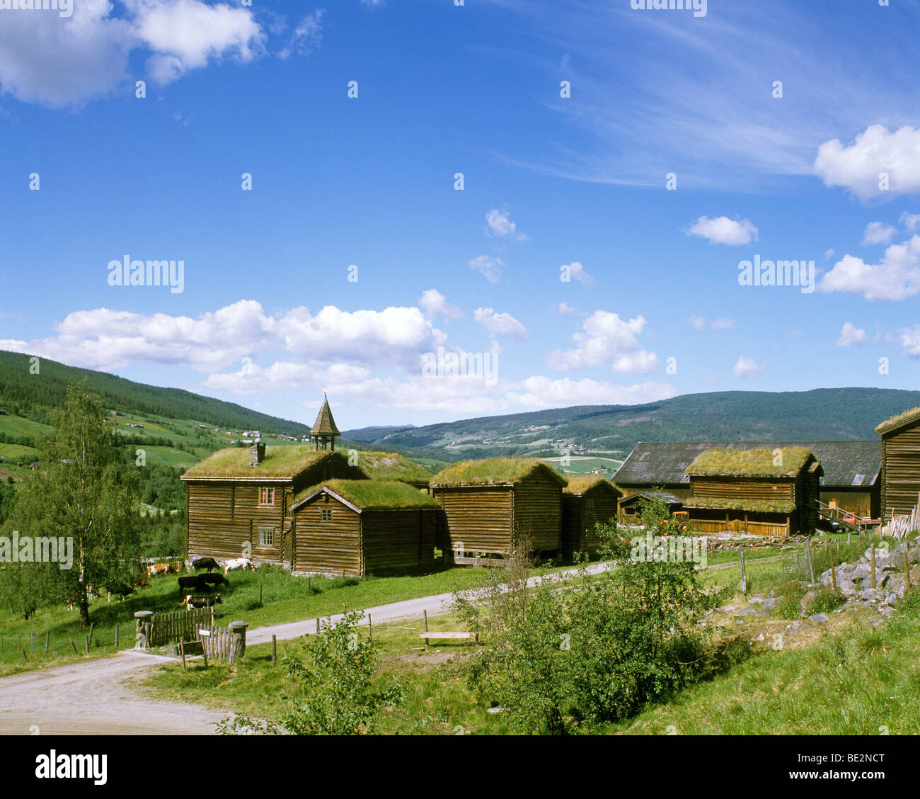 Grass roofed houses, North Norway, Scandinavia, Europe Stock Photo - Alamy