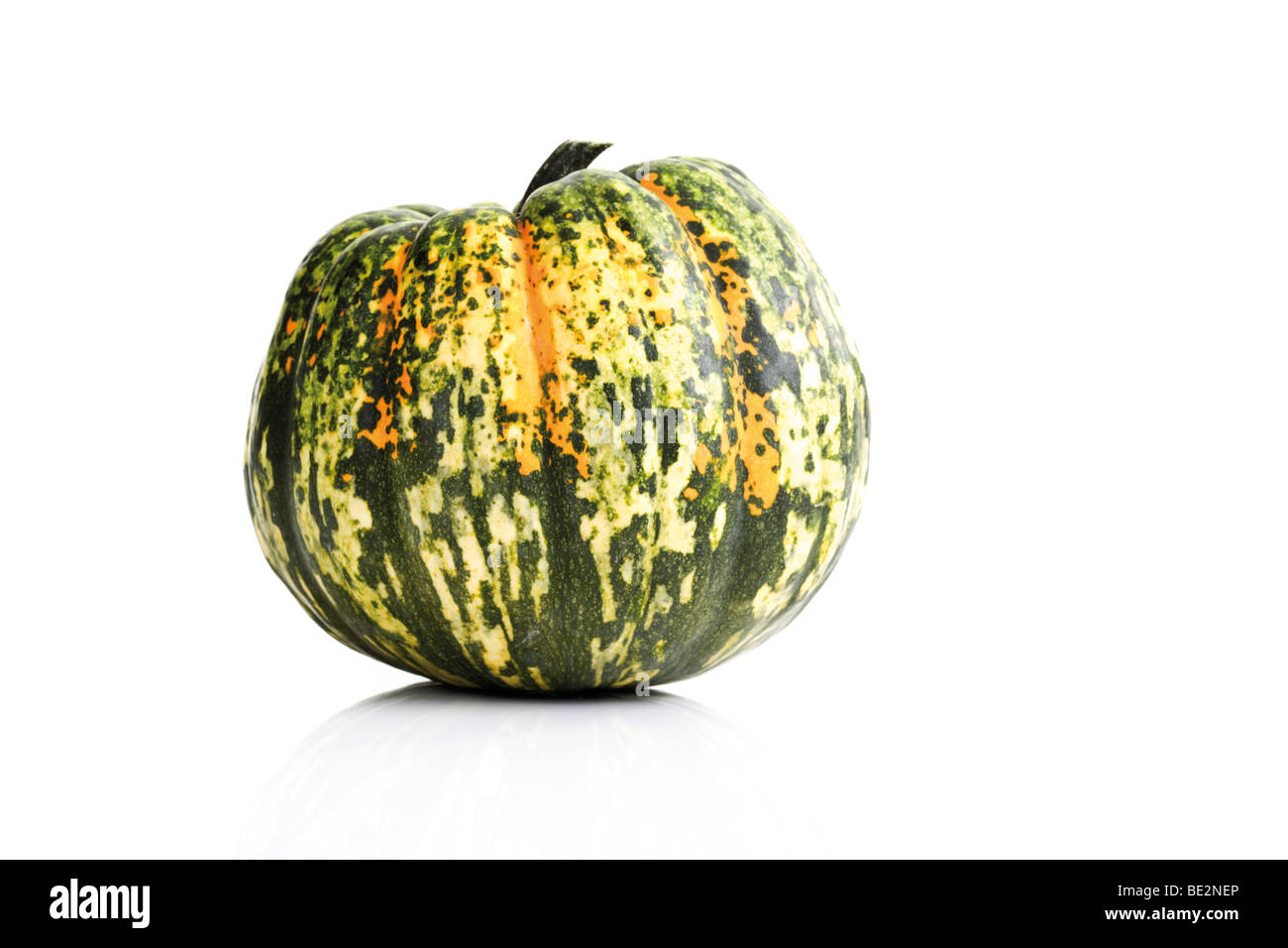 Marrow plants Cut Out Stock Images & Pictures - Alamy