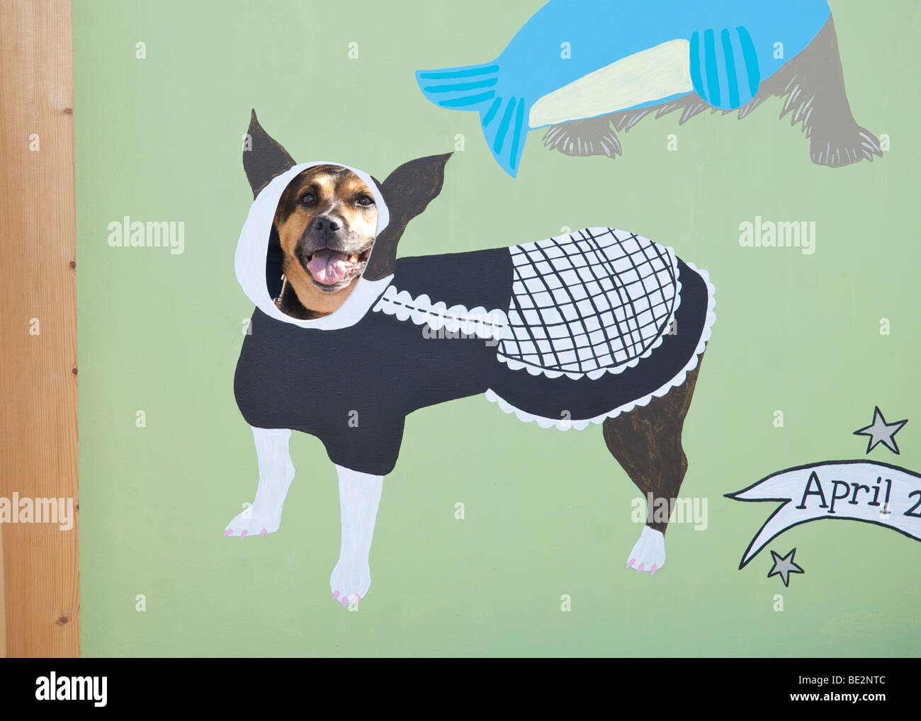 Photo opportunity board hi-res stock photography and images - Alamy