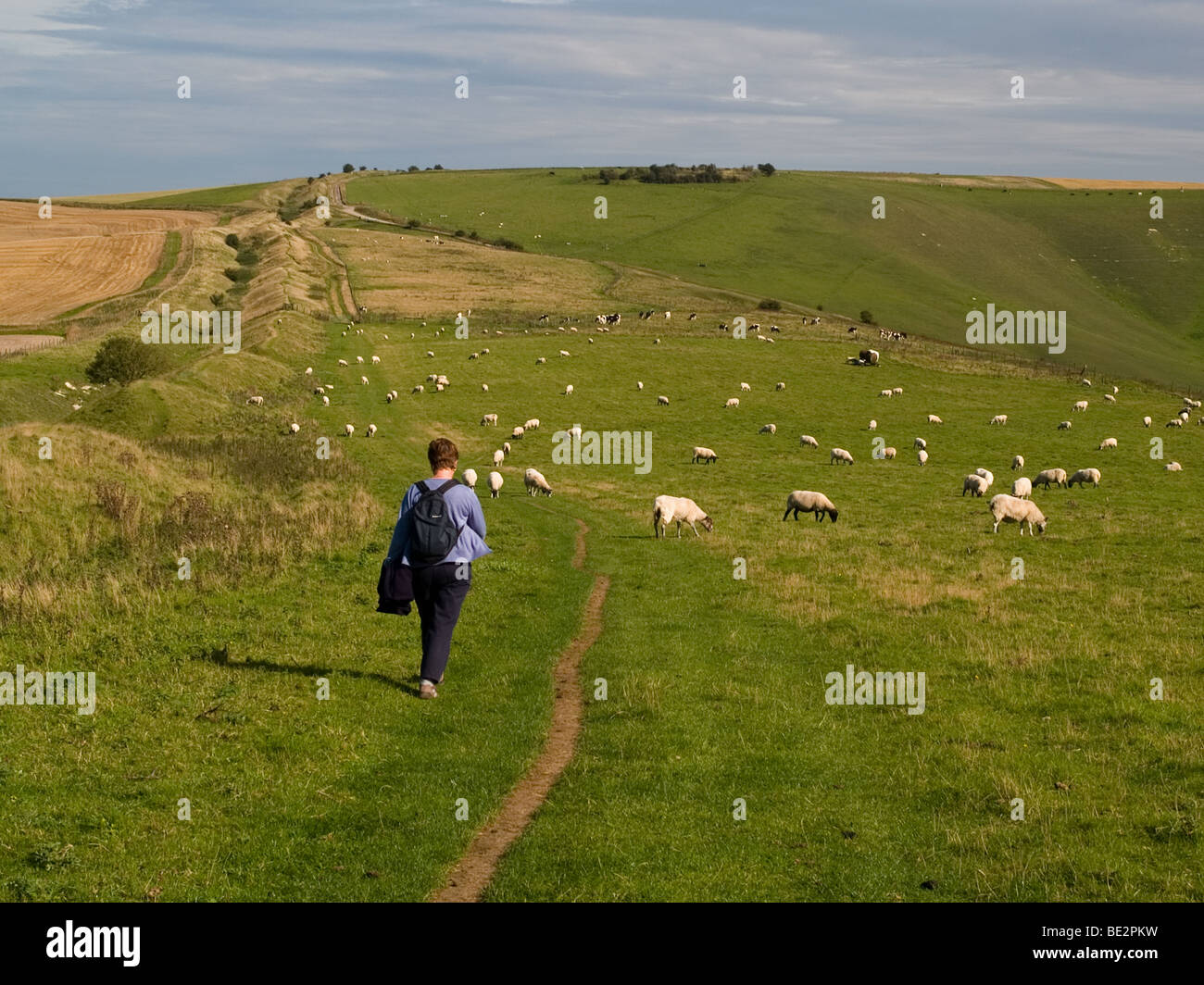 walker on the Wansdyke path Stock Photo - Alamy
