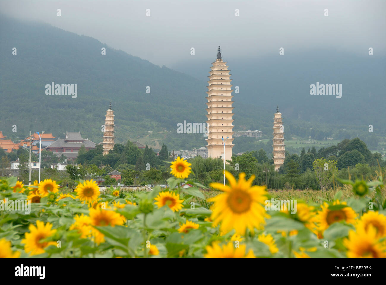 Ancient Buddhist towers, sunflowers, Three Pagodas, Dali, Yunnan ...