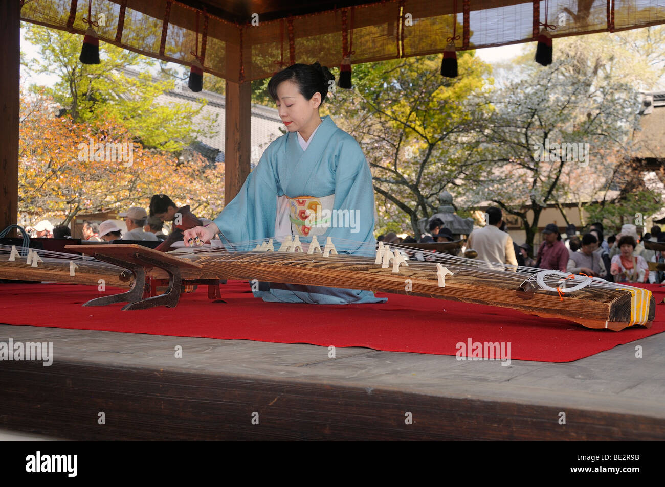 Japanese woman playing a koto, Japanese zither, Hirano Shrine, Kyoto ...