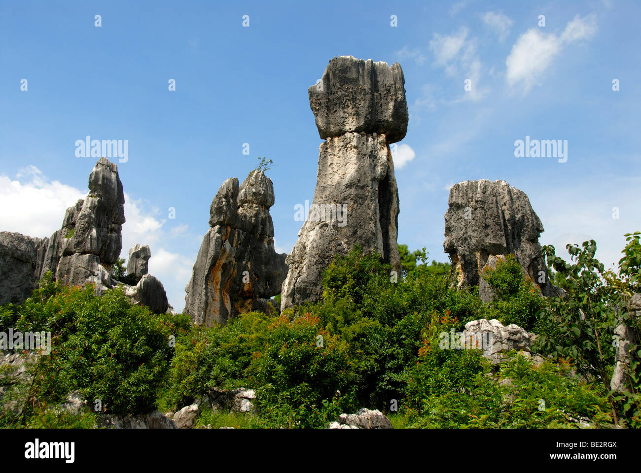 UNESCO World Heritage Site, rocks like sculptures, rock spires, Karst ...