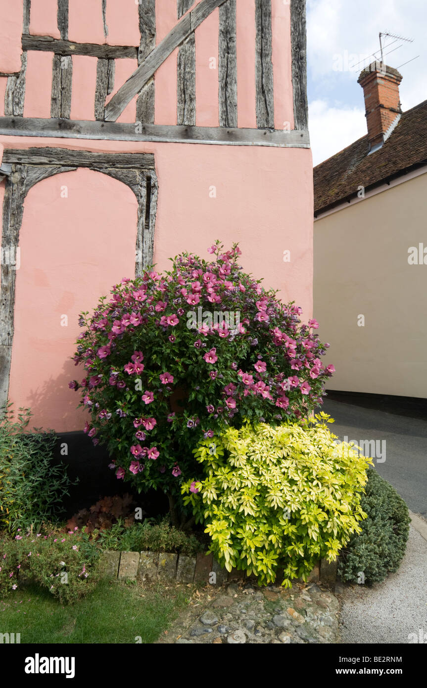 Suffolk pink hi-res stock photography and images - Alamy