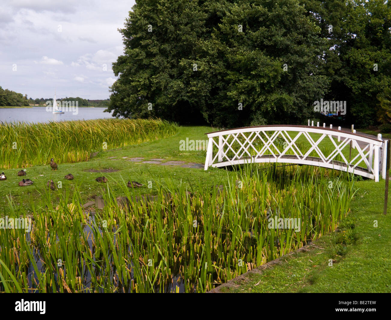 Frensham ponds near farnham surrey hi-res stock photography and images ...