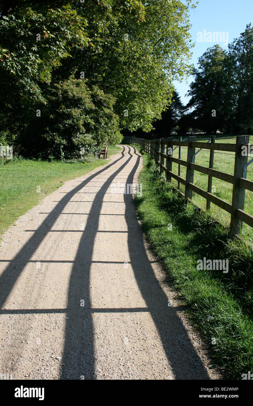 Fence shadow on path Stock Photo - Alamy