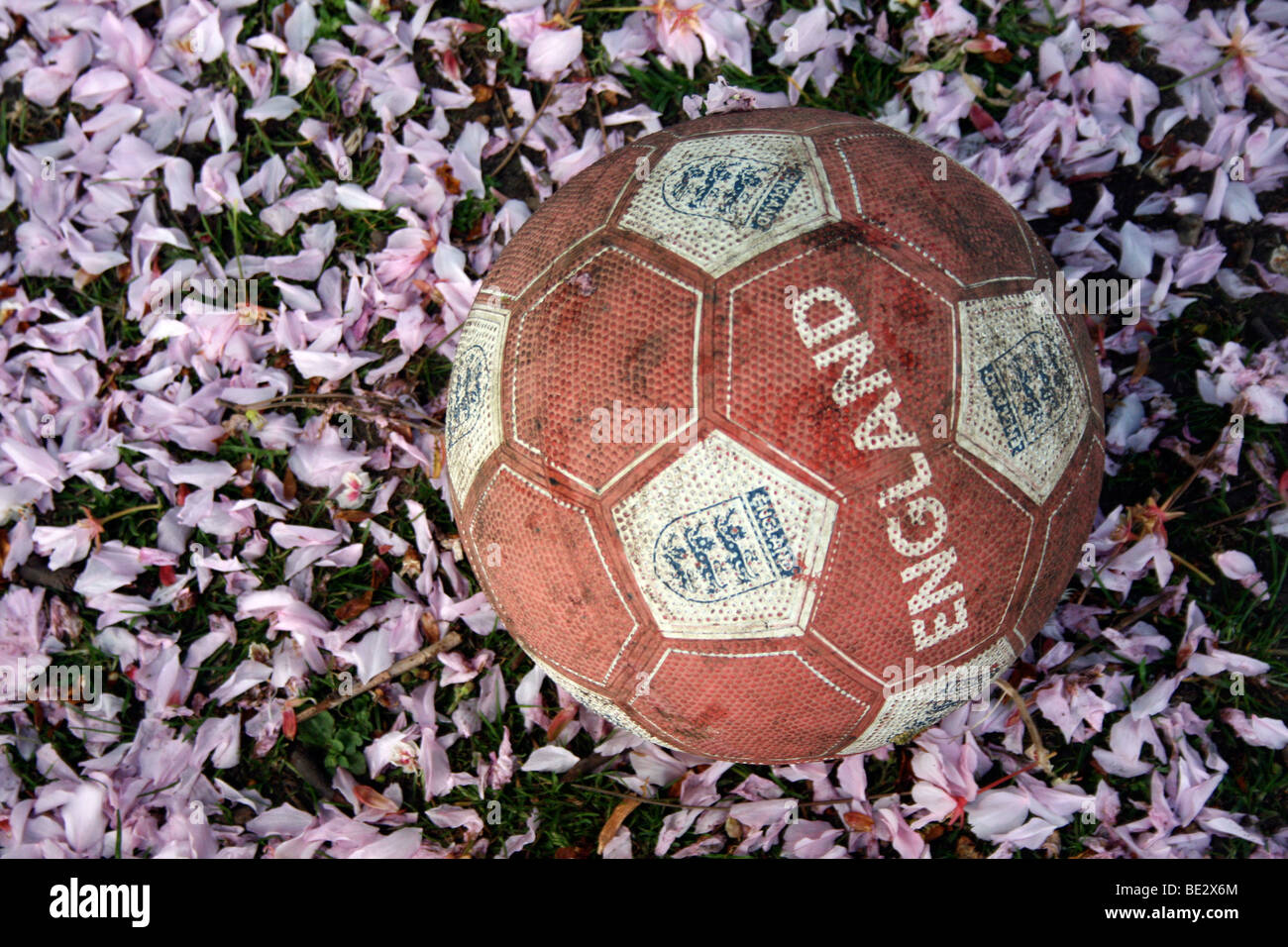 Three lions england football hi-res stock photography and images - Alamy