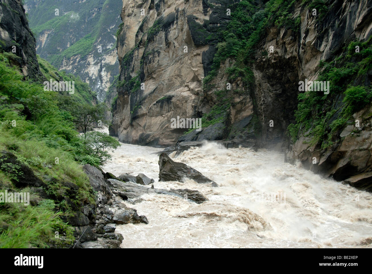 Tiger sprung schlucht hi-res stock photography and images - Alamy