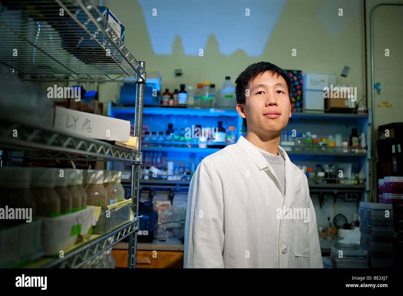 An Asian male research Scientist poses for a portrait in his laboratory ...